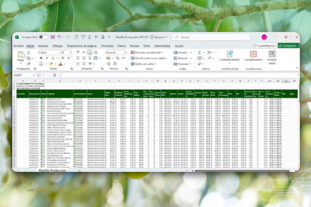 Planilla Agrícola: optimización y control de la mano de obra - Disagro ...